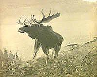 Moose – Works – eMuseum