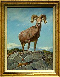 Arizona Desert Ram – Works – eMuseum