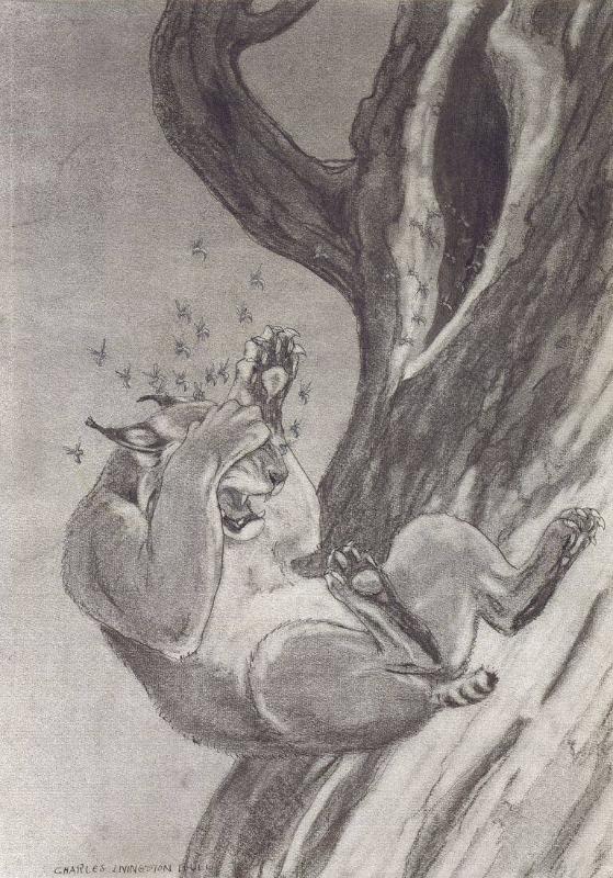 Bobcat and Bees – Works – eMuseum