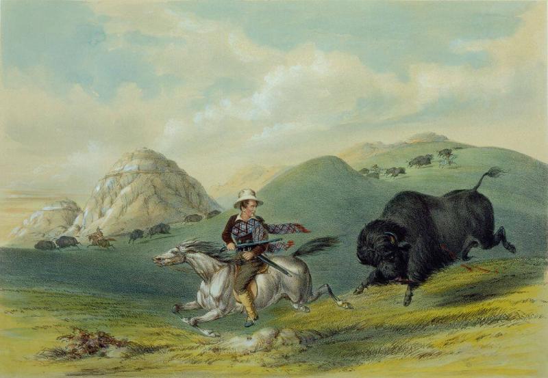 Buffalo Hunt, Chasing Back – Works – eMuseum