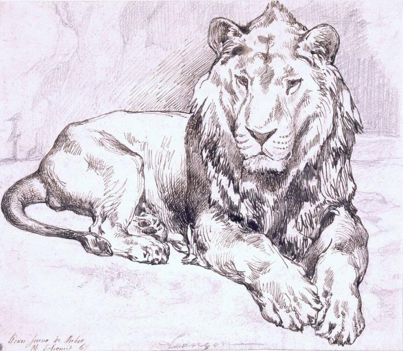 A Lion at Rest – Works – eMuseum
