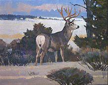 Lookout - Mule Deer – Works – eMuseum